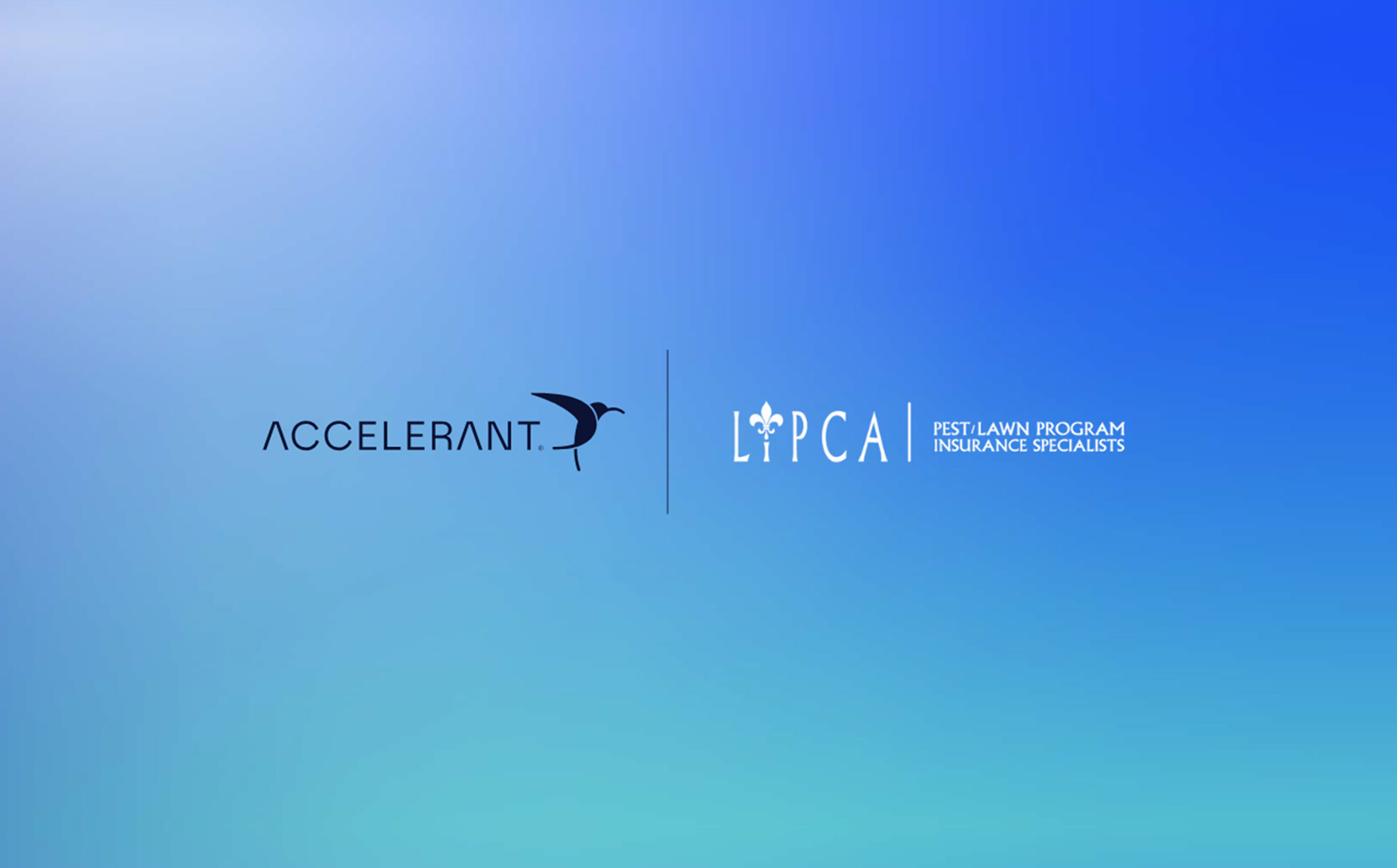 Member Spotlight: How Accelerant’s Risk Exchange Empowered LIPCA by ...